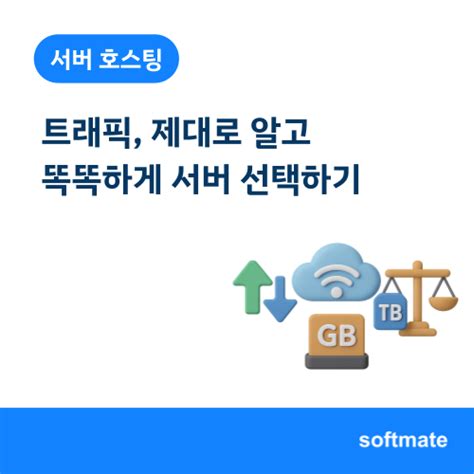 It 용어 트래픽이란 정의 단위 서버 호스팅 업체별 트래픽 가격 비교 네이버 블로그