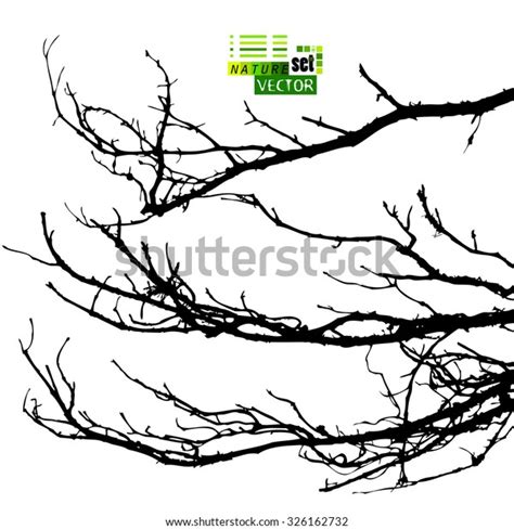 Tree Branches Vector Stock Vector Royalty Free Shutterstock