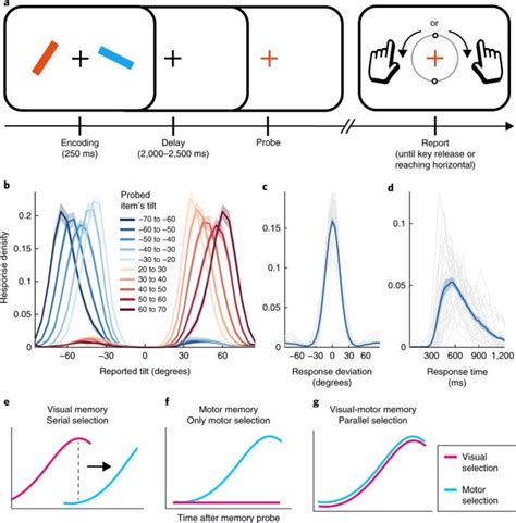 Concurrent Visual And Motor Selection During Visual Working Memory