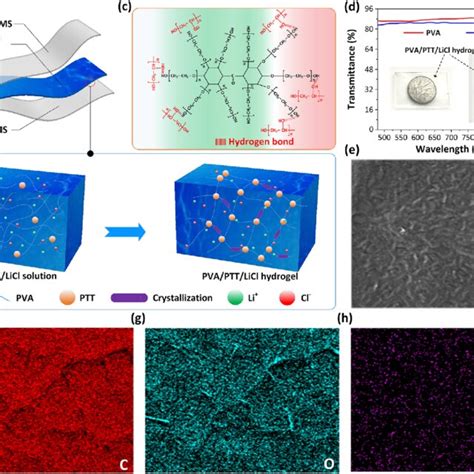 A Structure Diagram Of Ppl Teng Device B Schematic Diagram Of Download Scientific Diagram