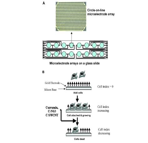 Microelectrode Array Device And Cell Electronic Sensing Used To Monitor Download Scientific