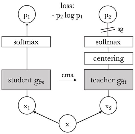 Self Supervised Learning And Transformers — Dino Paper Explained