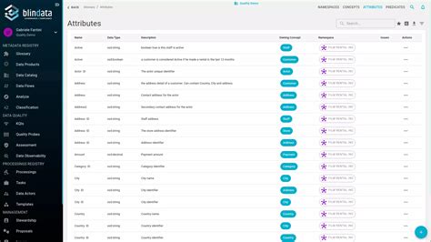 Blindata Help Namespaces Concepts Attributes And Predicates