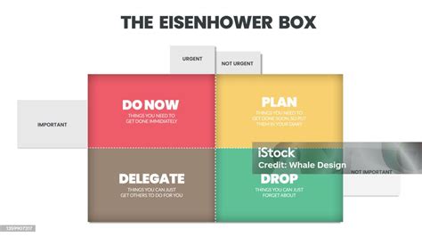 아이젠하워 매트릭스에는 목록에서 수행할 작업이나 작업의 우선 순위를 분석하거나 우선 순위를 지정할 수 있는 4개의 상자가 있습니다 그림 벡터는 중요하고 긴급한 선택을 하는