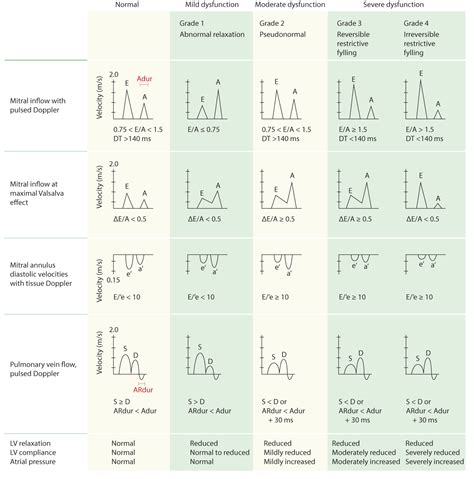 Reference Normal Values For Echocardiography