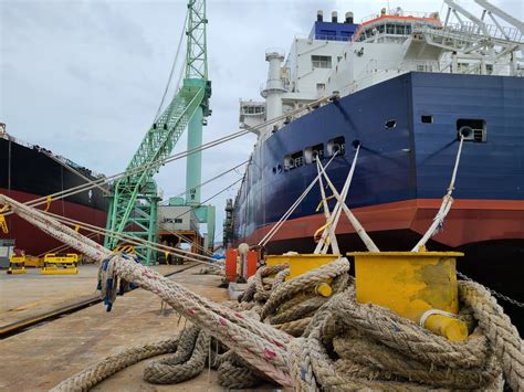 [태풍 힌남노] 경남 조선업계도 초긴장…선박·시설물 꽁꽁 고정 나무뉴스