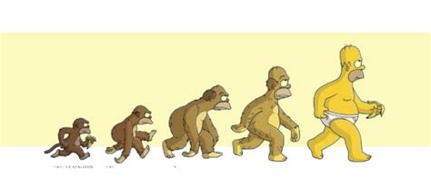 Evolutionary Decision Trees When Machine Learning Draws Its Inspiration From Biology By Lina