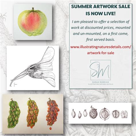 Illustrat Illustrating Natures Details With Sarah Morrish