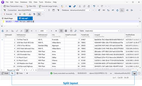 Sql Editor Overview