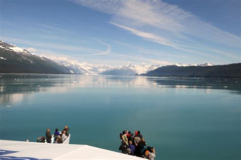 알래스카 빙하여행 2 위디어프린스 윌리엄 사운드 해안빙하 유람선 투어 네이버 블로그