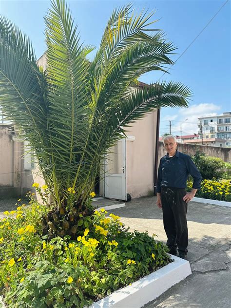 ბათუმის ინფექციური პათოლოგიის შიდსის და ტუბერკულოზის რეგიონული ცენტრი ბათუმის ინფექციური