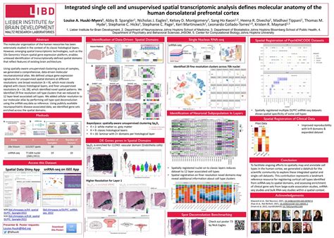 Spatialdlpfc Poster Bds22 Speaker Deck