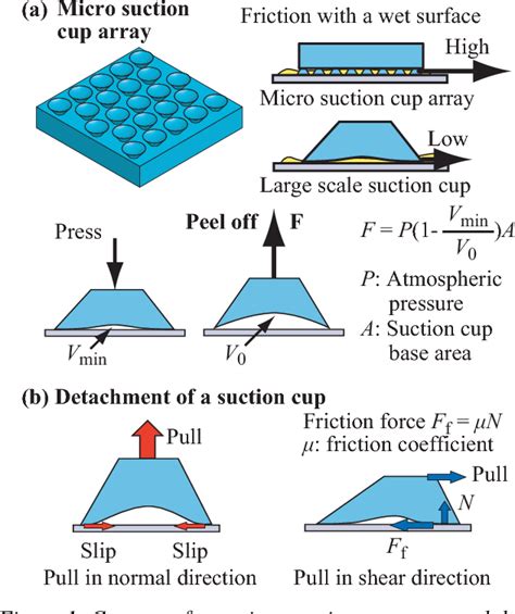 Figure 3 From Micro Suction Cup Array For Wet Dry Adhesion Semantic