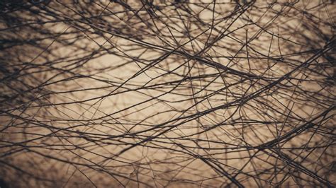 Unraveling The Mystery Of Random Assignment In Psychology Listen Hard