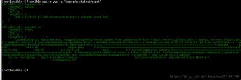 ansible的ad hoc（临时命令）命令集配置详解 ansible ad hoc csdn博客