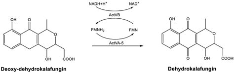 Quinone Forming Activity Of Actva Orf5 Actvb Two Component Flavin Download Scientific Diagram