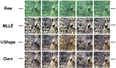 논문 리뷰 End To End Underwater Video Enhancement Dataset And Model