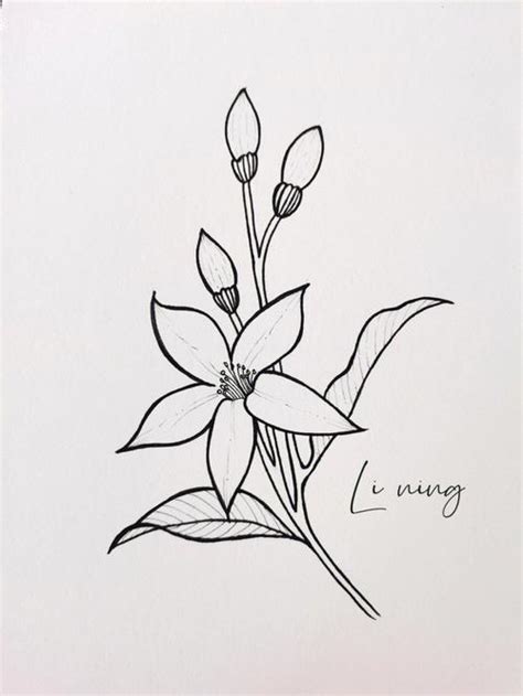 花草图片简笔画 春天的花草图片简笔画 苗苗知道