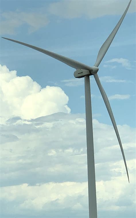 Wind Turbines And Whale Fins