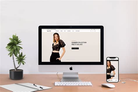 magento 2 pwa extensions vs tigrenpwa theme which one