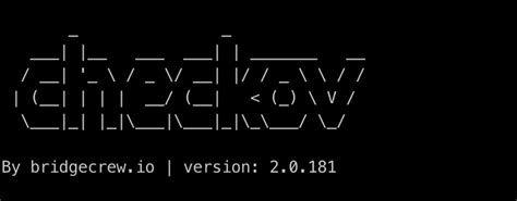 Checkov Don T Work With Custom Checks When F Option Is Given Issue Bridgecrewio