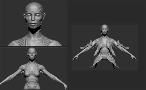 My Project For Course 3d Character Modeling For Organic And Hard Surfaces Domestika