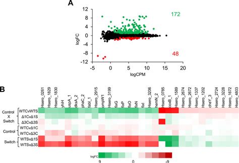 Transcriptional Profiling Reveals Differential Gene Expression After