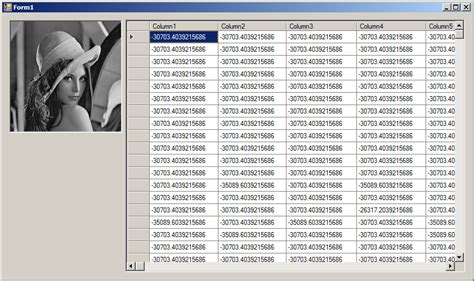 C How Can I Properly Convert Bitmap Rgb Color To A 2d Double Array