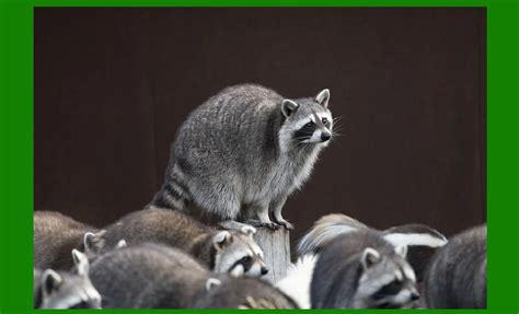 Itf 14 Barcode Current Situation And Future Development