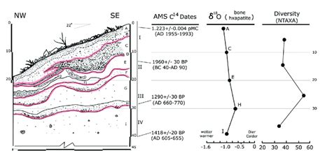 Lateral Profile Of Test Pit D With Source Radiocarbon Dates Oxygen Download Scientific Diagram