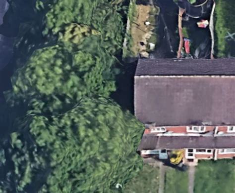 House Subsidence Caused By Trees Geobear UK