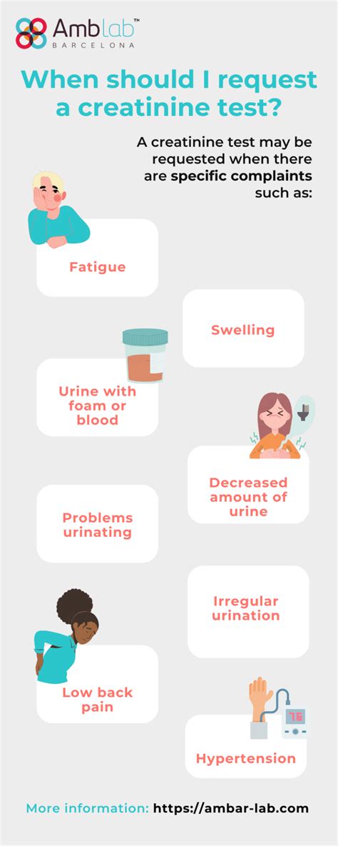 Low Creatinine Causes And Symptoms Ambar Lab