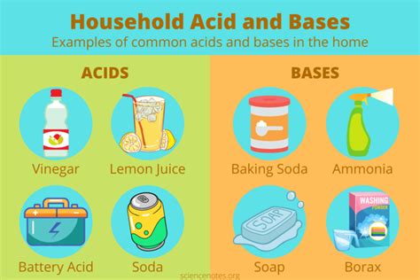 Examples Of Common Acids In Your Life