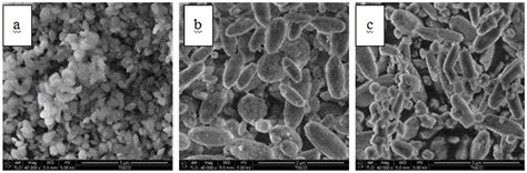 T L Composite Molecular Sieve And Preparation Method Thereof Eureka Patsnap