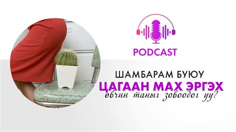 Шамбарам буюу цагаан мах эргэх өвчин Youtube