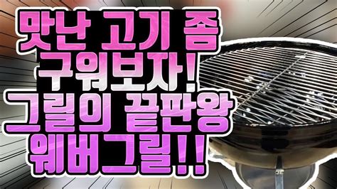 웨버그릴 가격대별 종류와 특징 그릴의 끝판왕 Youtube