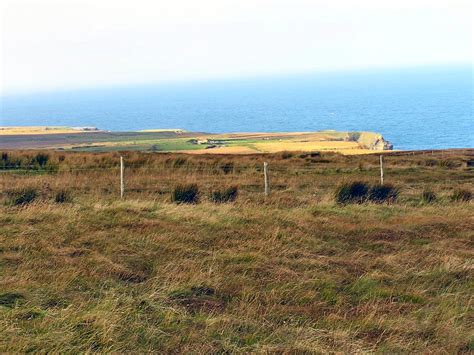 Ceide Fields