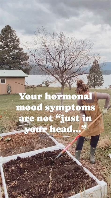 Functional Lab Testing Her Mood Mentor