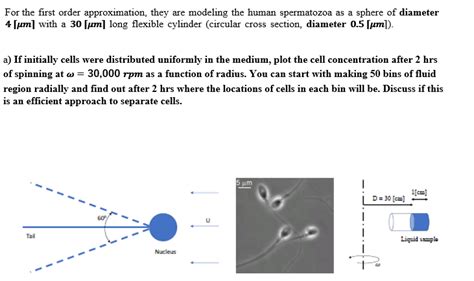 Solved For The First Order Approximation They Are Modeling