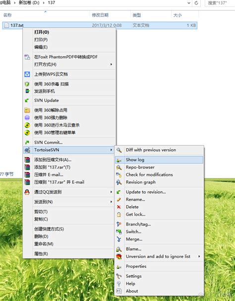 Tortoisesvn新建仓库 Svn怎么创建仓库 Mob6454cc7aec82的技术博客 51cto博客