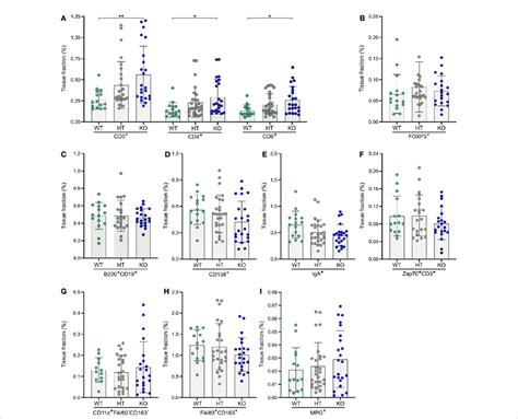Quantitative Analyses Of Immune Cells In The Large Intestinal Mucosa Of Download Scientific