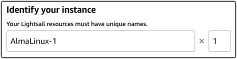 Launch And Set Up An AlmaLinux Instance On Lightsail Amazon Lightsail