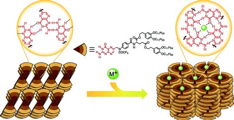 Self Assembly Of Phase Segregated Liquid Crystal Structures Science