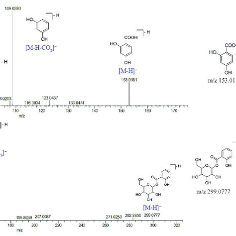 Characteristic Of Ms Ms Spectra And Possible Fragmentation Pathways Of Download Scientific