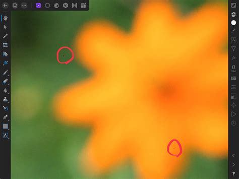 Dead Pixel On Raw Image Pre V Archive Of Ipad Questions Affinity Forum