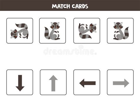 Left Right Up Or Down Spatial Orientation With Cute Raccoon Stock