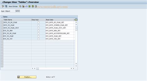 RTPB SAP Tcode RPUS Cntrl Tables