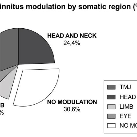 Transperineal Injection Of Pelvic Floor Muscles With Transrectal