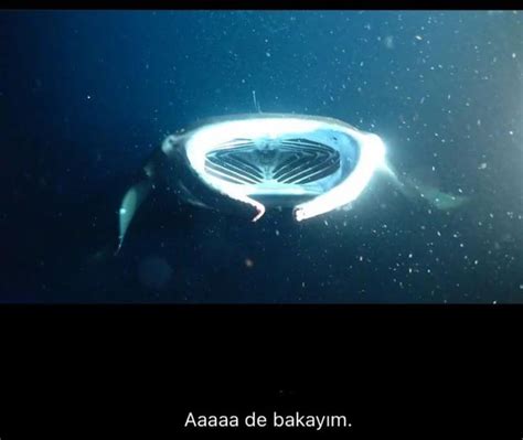 Aaaaaaaaaaaaaaaaaaaaaaaaaaaaaaaaaa Raaaaaaaaaaaaaaaaa