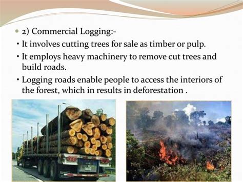 Deforestation Introduction Causes Effects And Control